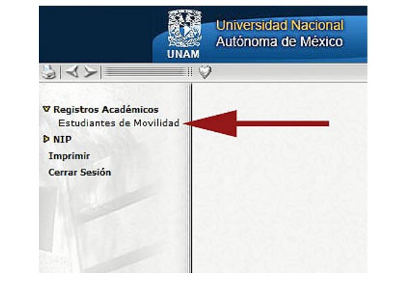 Acceso al SIAE • Todo lo que debes saber sobre el sistema 【Ayuda Gob