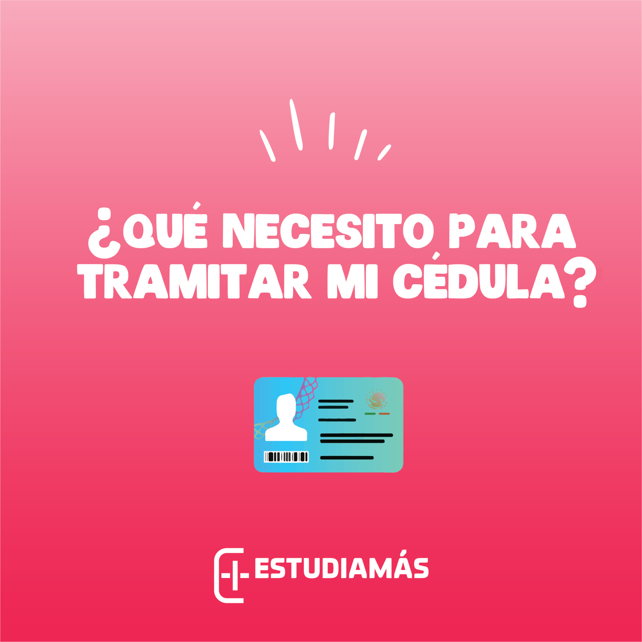 Revisión de cédula profesional: ¿Cómo hacerlo correctamente? 【Ayuda Gob